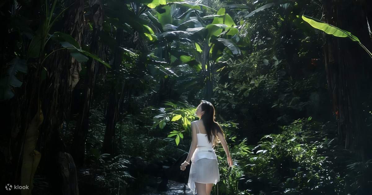 [Private Tour] 6-Day Tour to Xishuangbanna, Yunnan: A Forest Oxygen ...